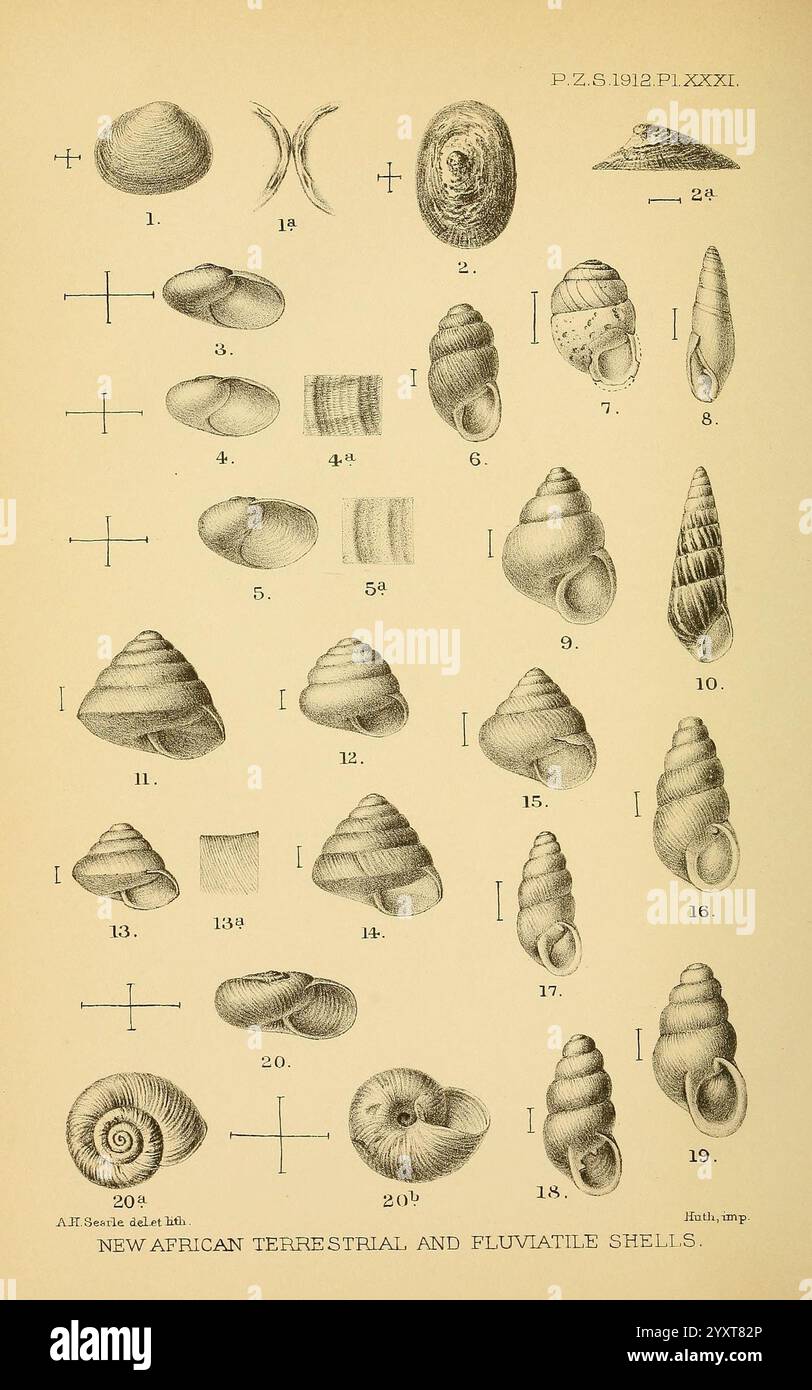 Proceedings of the Zoological Society of London, London, Academic Press ...