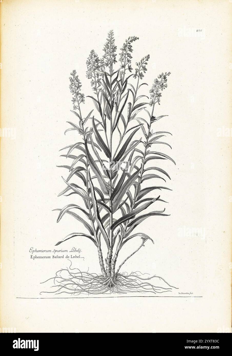 Artwork combines scientific precision hi-res stock photography and ...