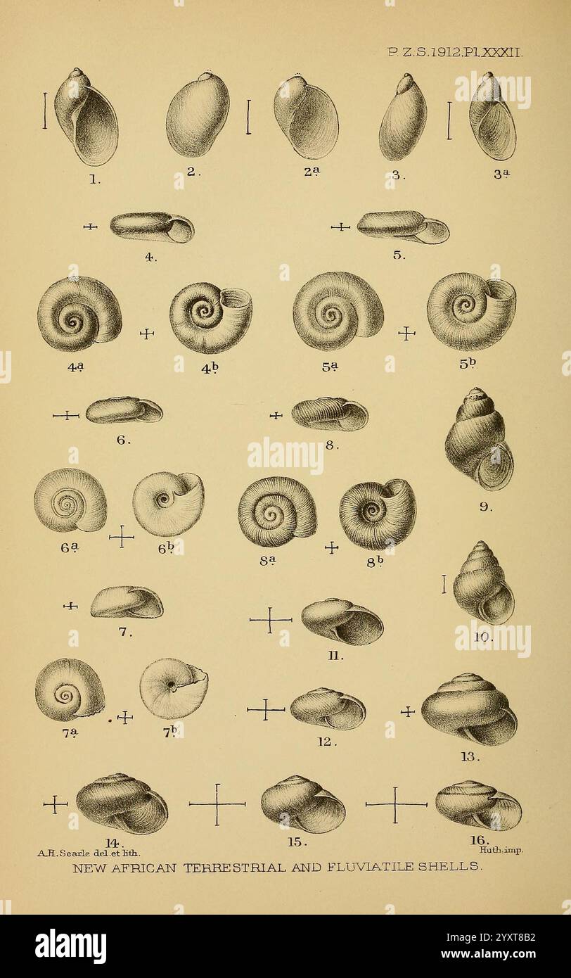 Viewers appreciation hi-res stock photography and images - Alamy