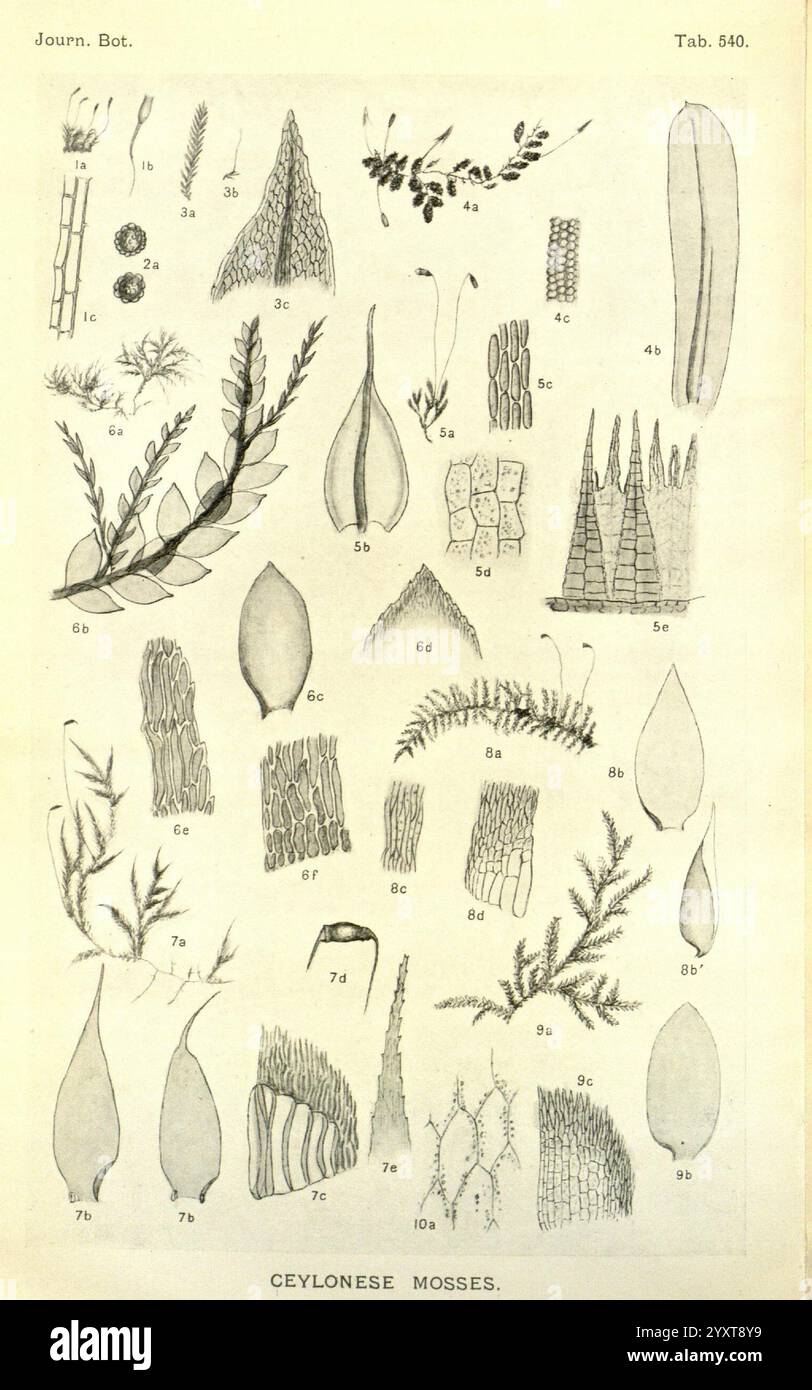 Comprehensive visual guide hi-res stock photography and images - Alamy