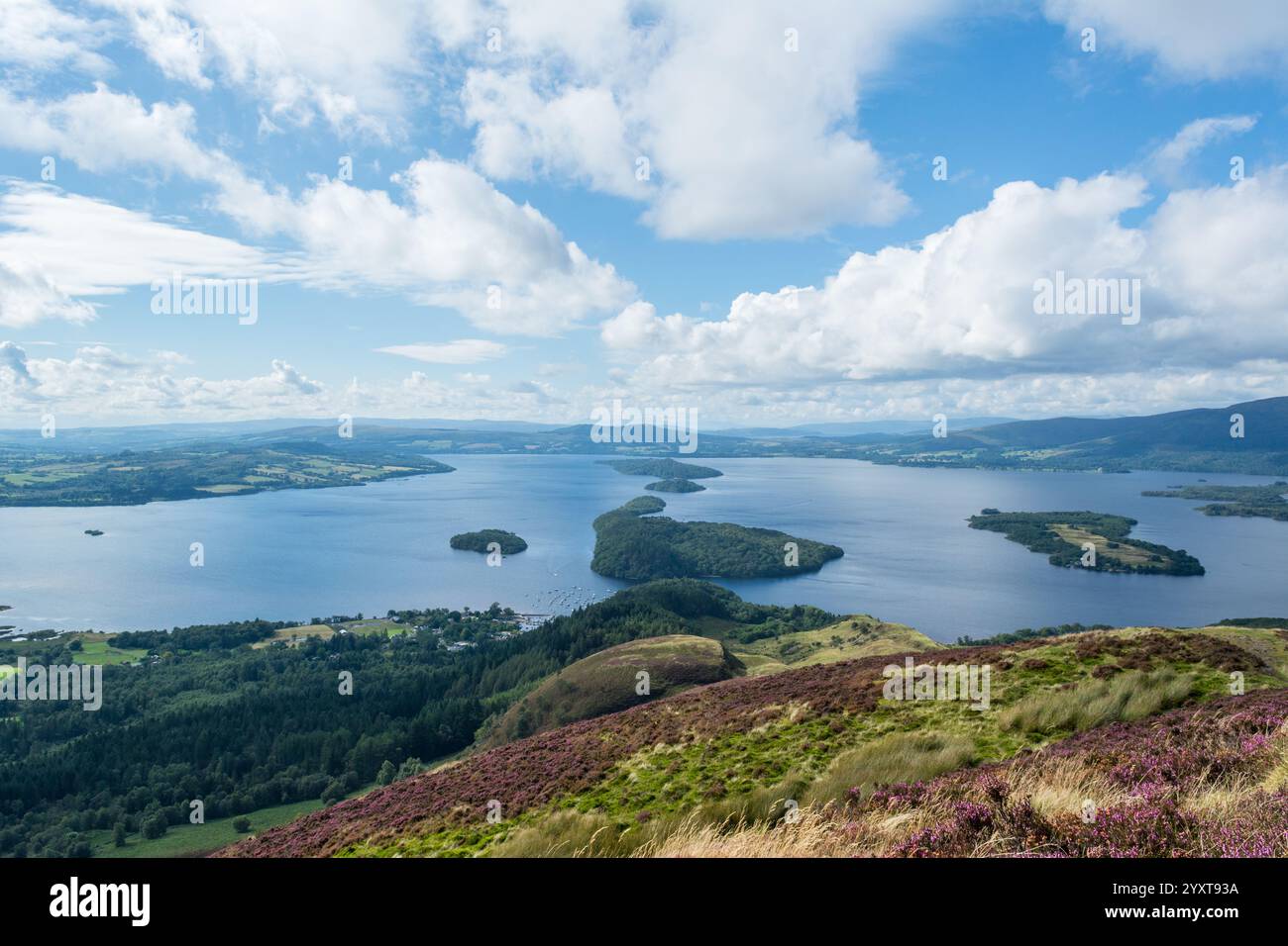 View across the southern end of Loch Lomond from heather covered Conic ...