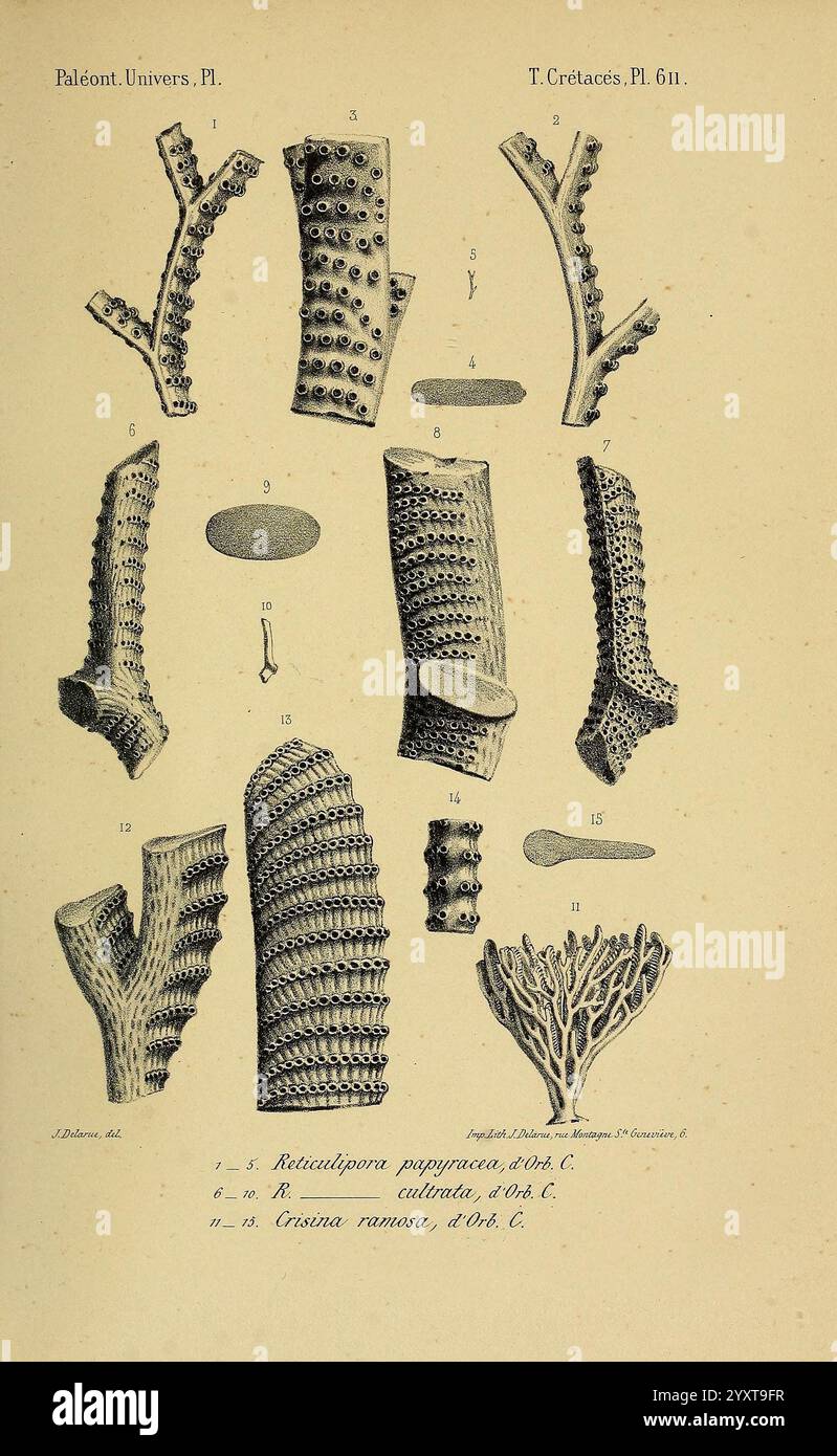 Labeled figure highlights specific examples hi-res stock photography ...
