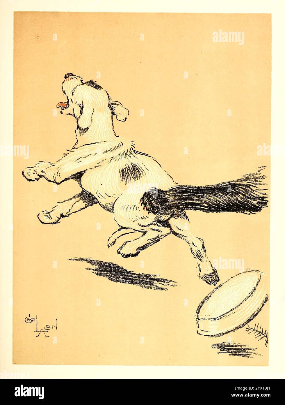 Angel dust hi-res stock photography and images - Alamy