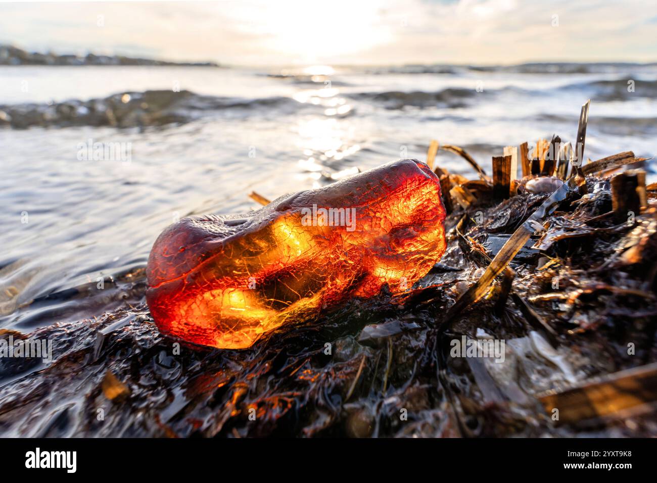 Amber on beach baltic sea hi-res stock photography and images - Alamy