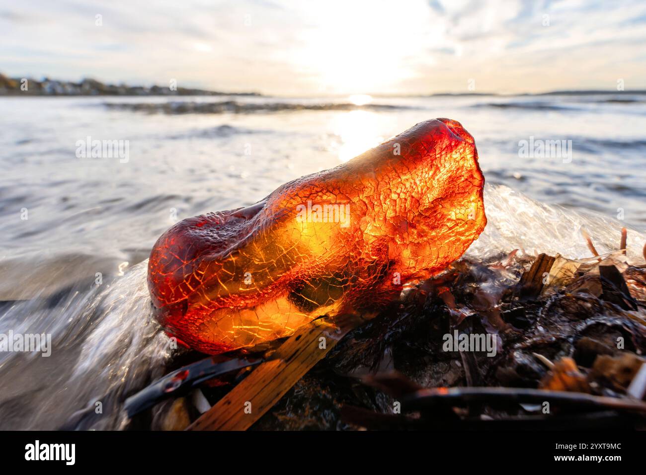 amber on the beach at sunset Stock Photo - Alamy