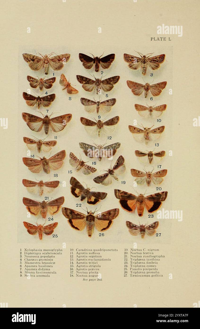 Descriptive labels identifying hi-res stock photography and images - Alamy