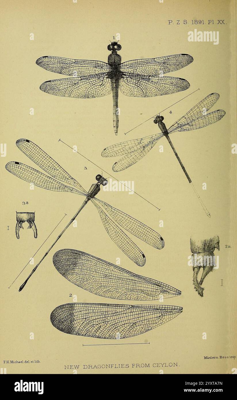 Indicate descriptions hi-res stock photography and images - Alamy