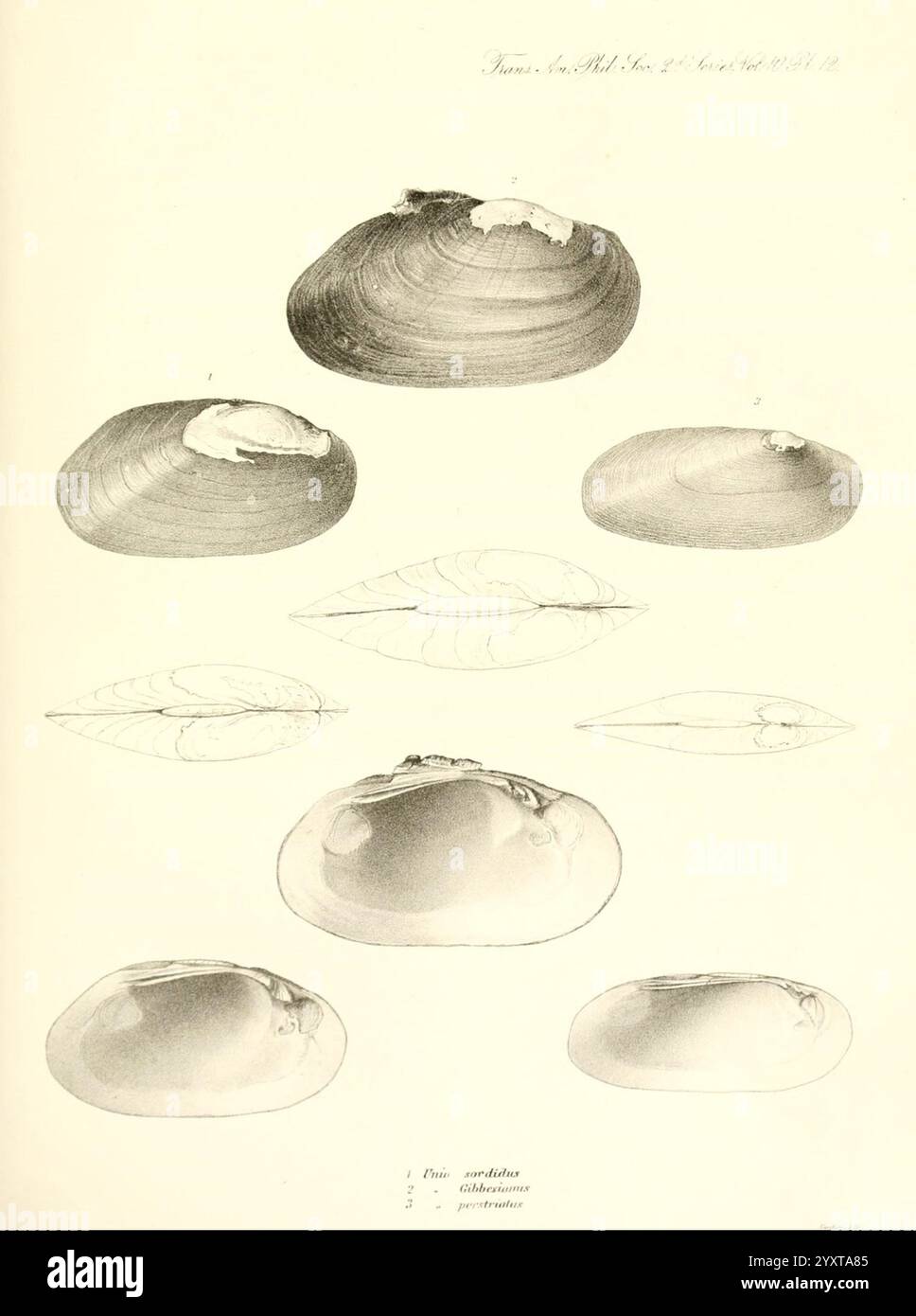 Numerical classifications hi-res stock photography and images - Alamy
