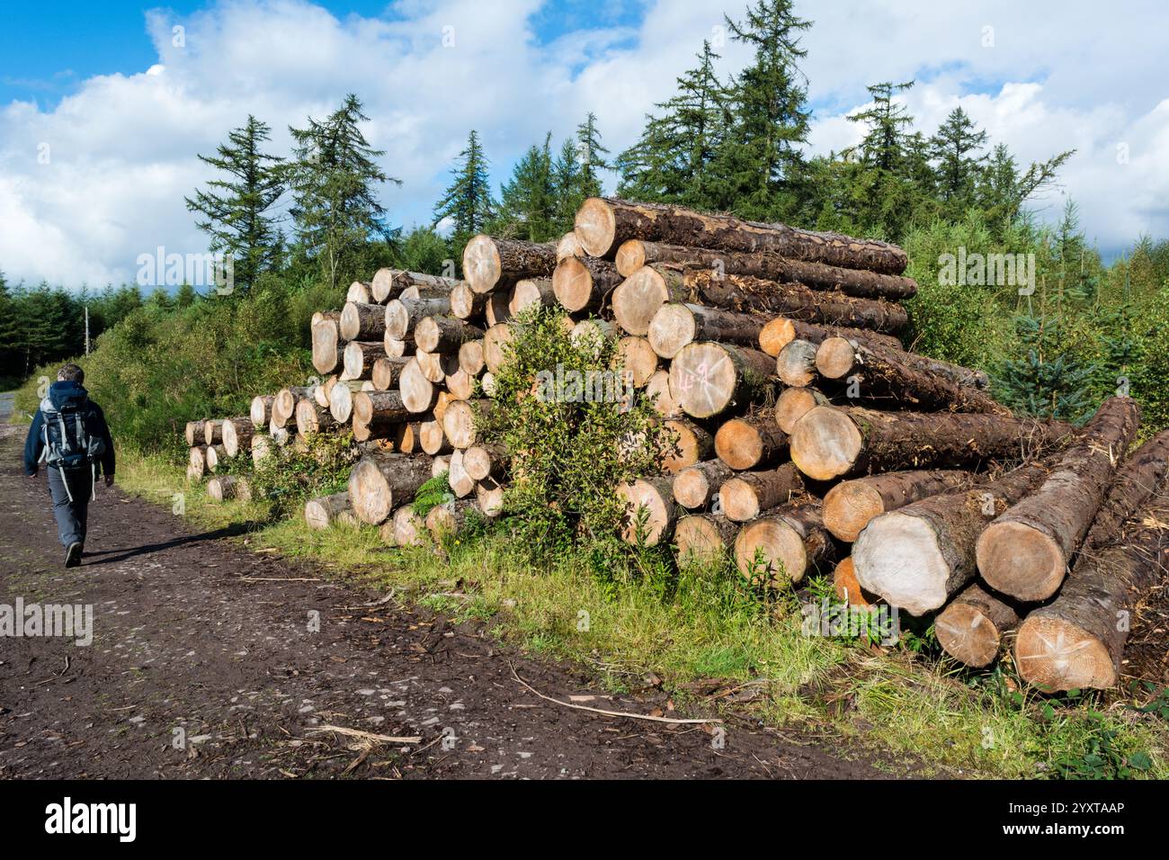 Pile of dirt overhead hi-res stock photography and images - Alamy