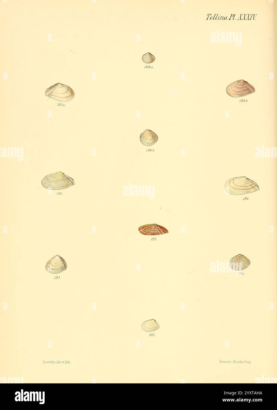 Layout emphasizes educational purpose hi-res stock photography and ...