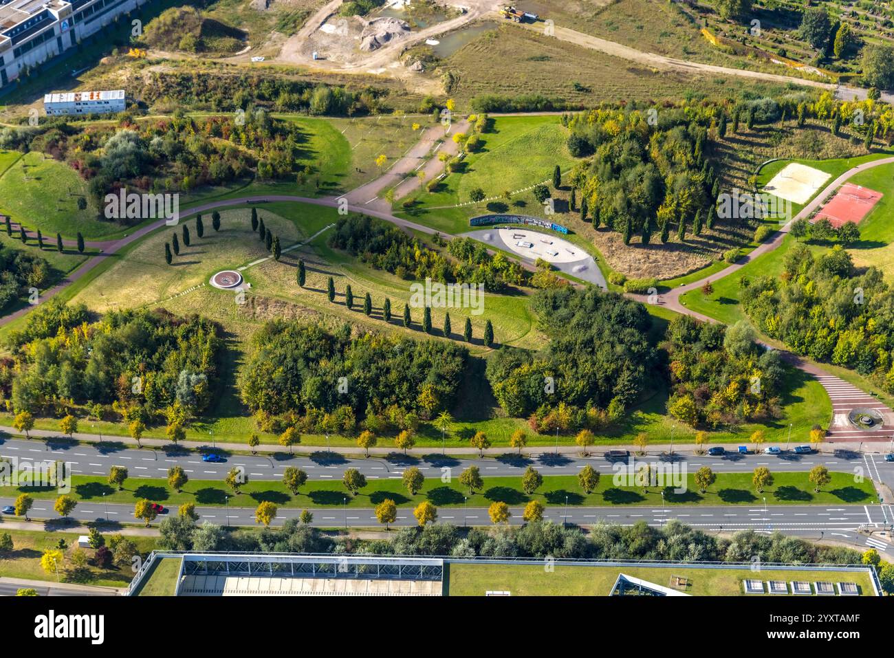 Aerial view, skate park, row of trees and gardens in Krupp Park ...