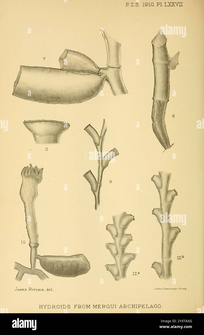 Showcasing important features labeled hi-res stock photography and ...