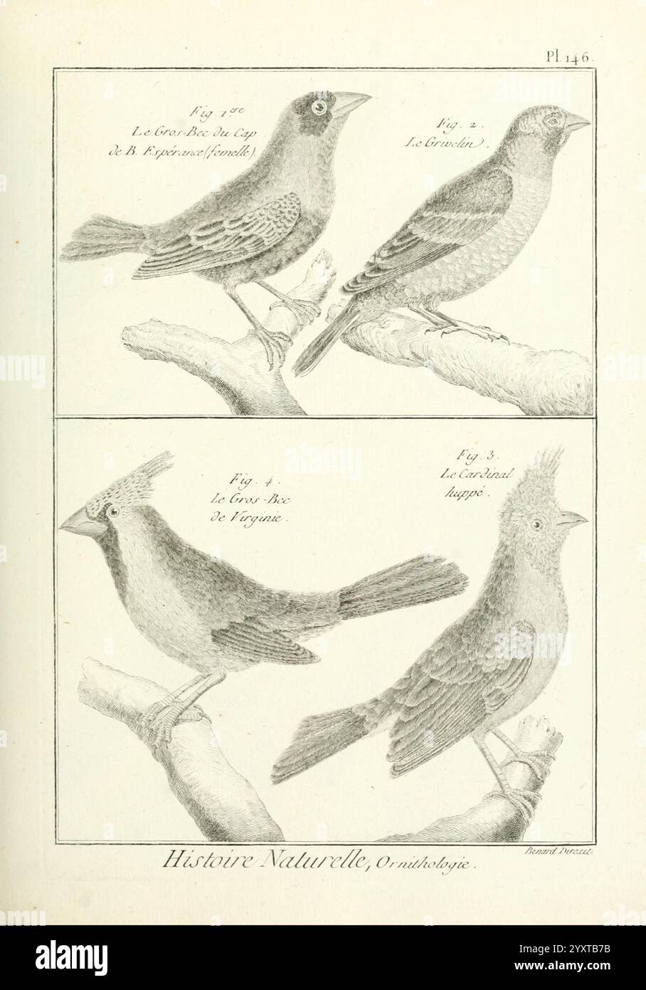Tableau encyclopédique et méthodique des trois règnes de la nature A ...