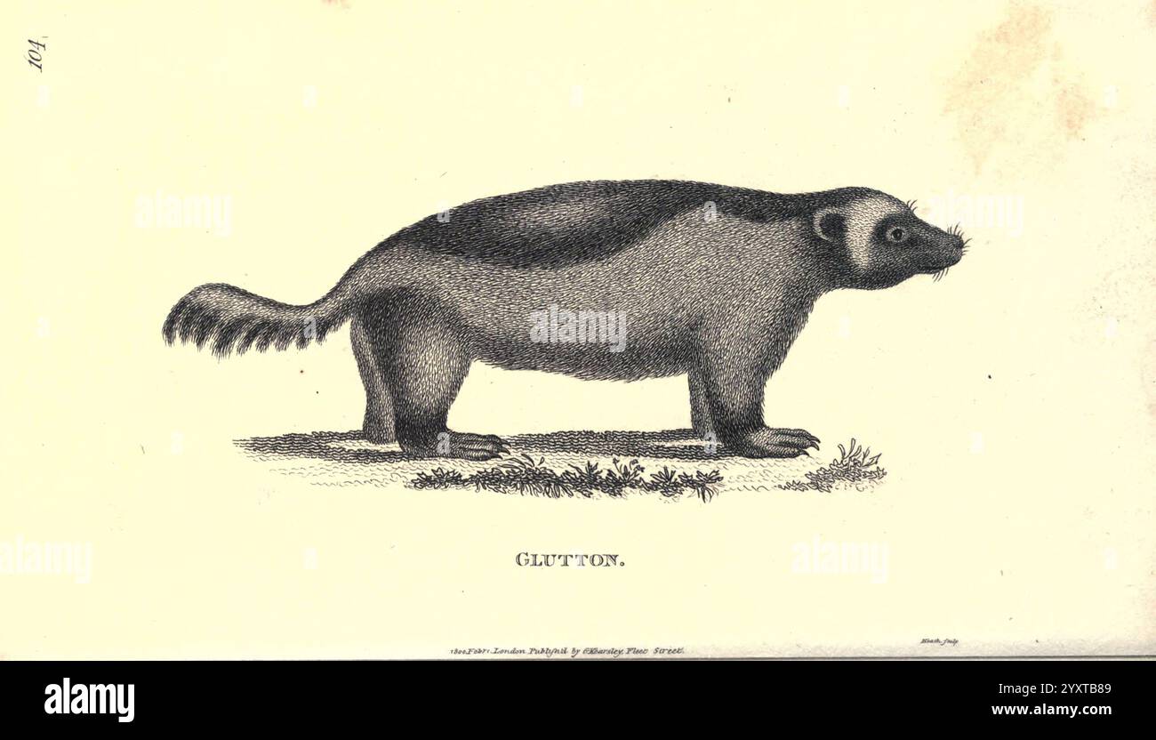 General zoology, or Systematic natural history pt. 2, London, Printed ...