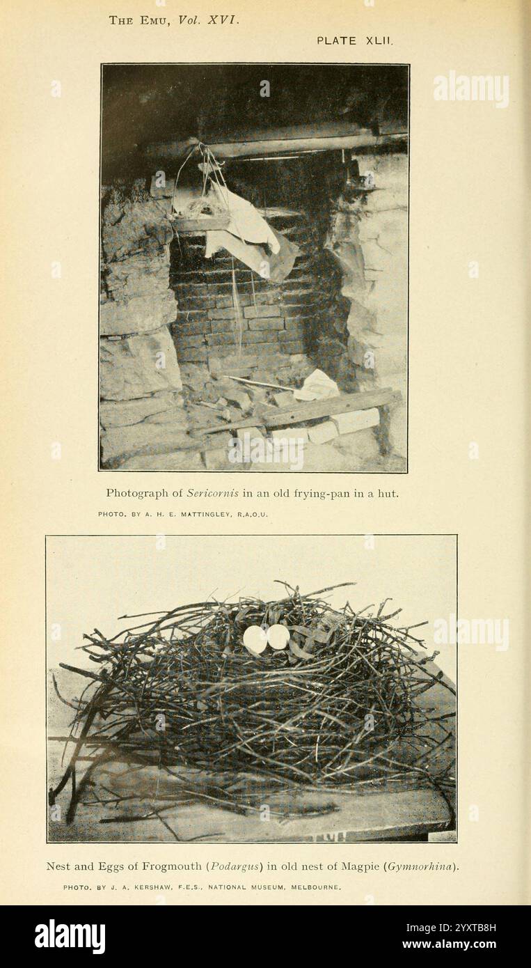 Bottom section showcases hi-res stock photography and images - Alamy