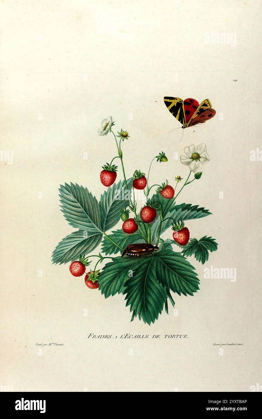 Captivating tableau hi-res stock photography and images - Alamy