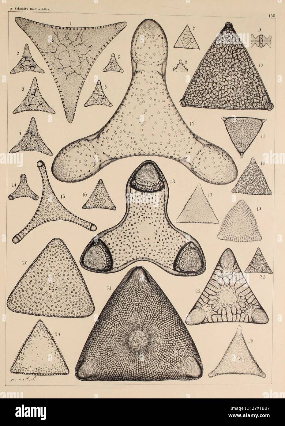 Amorphous structures hi-res stock photography and images - Alamy