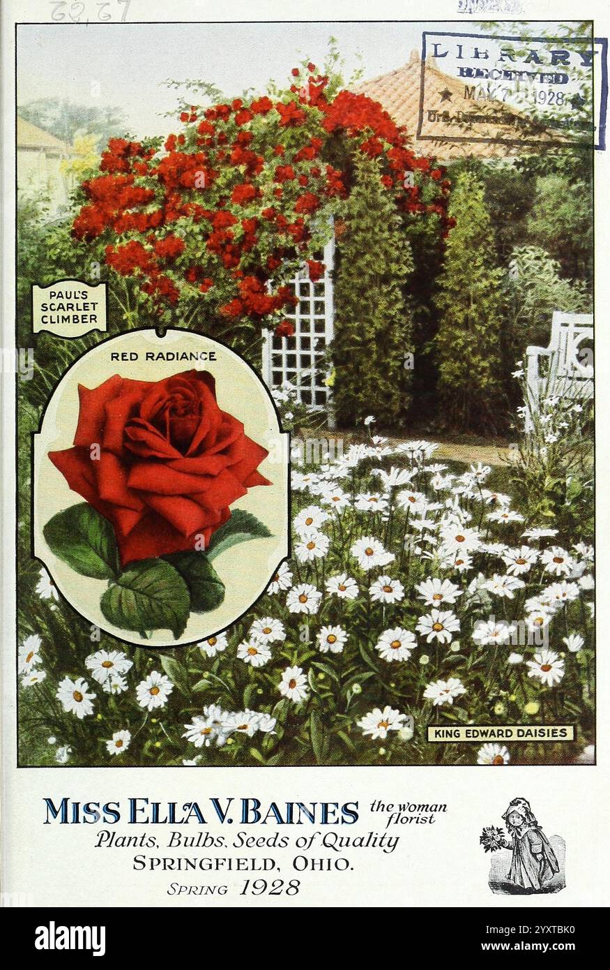 Miss Ella V. Baines the woman florist Springfield Ohio Baines 1928 ...