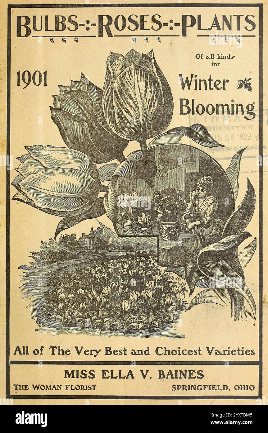 Text identifies miss ella v hi-res stock photography and images - Alamy