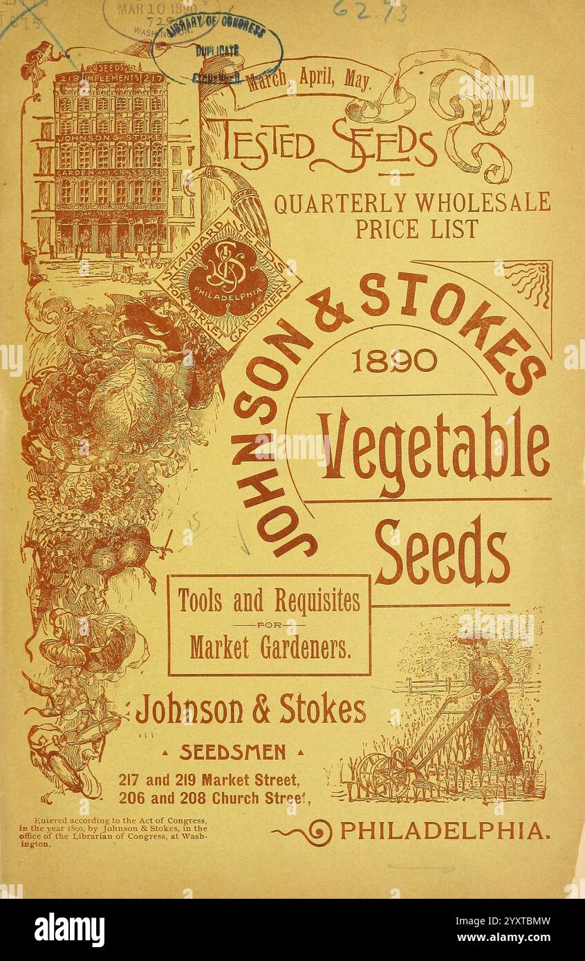 Vegetable seed offerings hi-res stock photography and images - Alamy