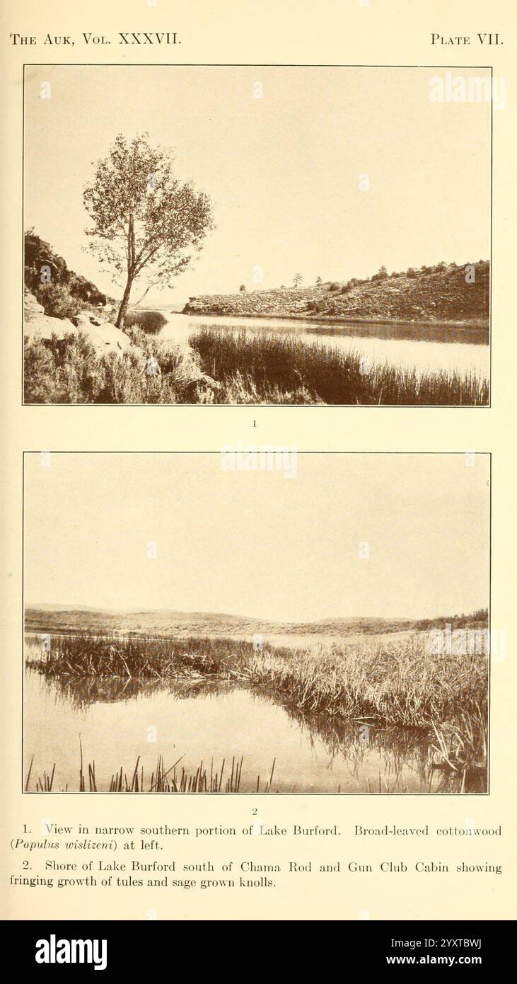 Scene depicts two views hi-res stock photography and images - Alamy