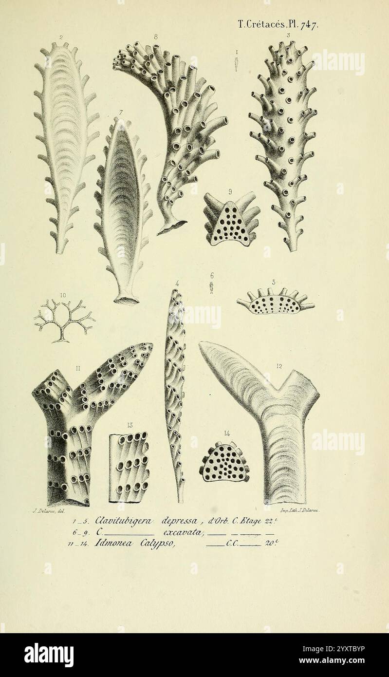 Paleontologie francaise, Paris, Chez l'auteur, 1840-1894 France ...