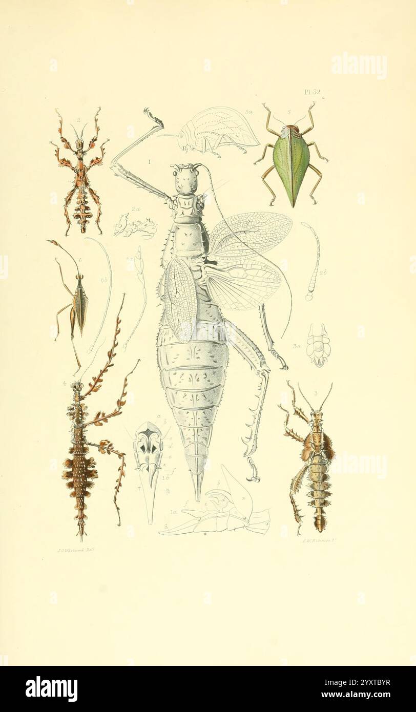 Prominent figure features hi-res stock photography and images - Alamy