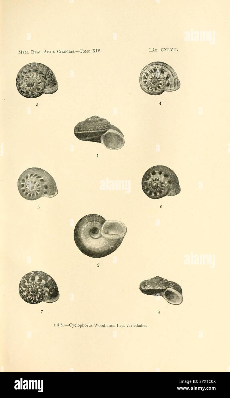 Visual presentation serves hi-res stock photography and images - Alamy