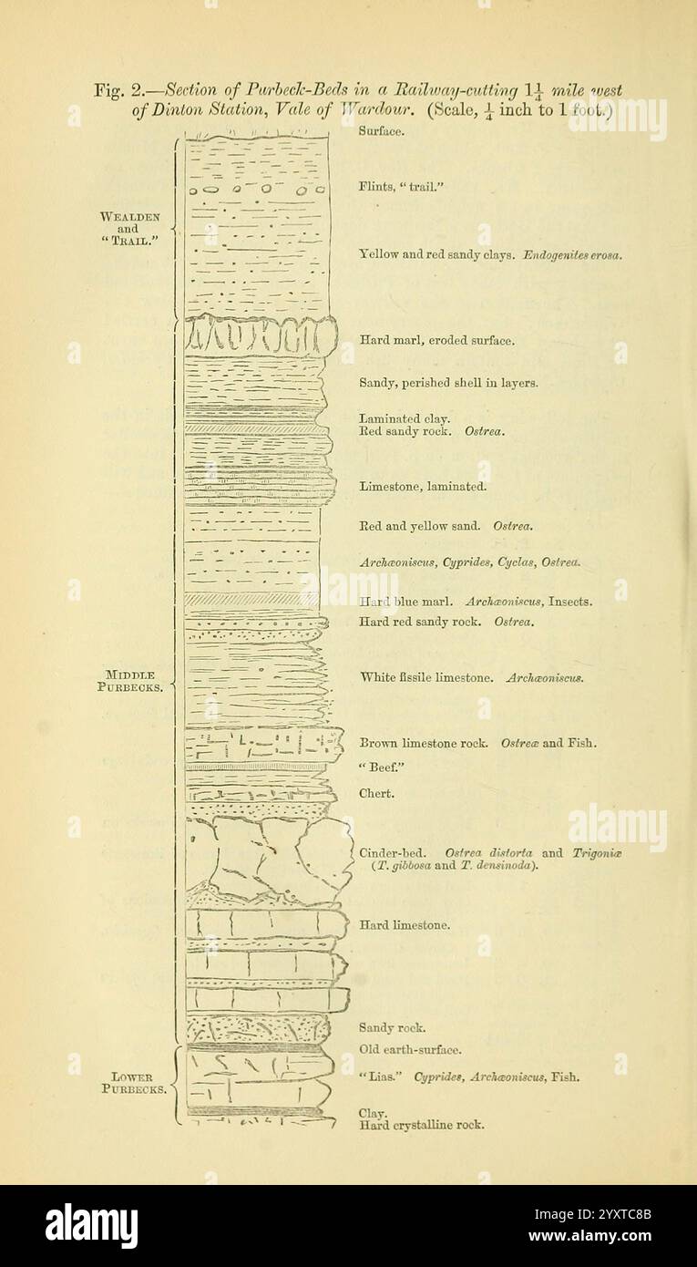 The Quarterly Journal of the Geological Society of London, v. 37 (1881 ...