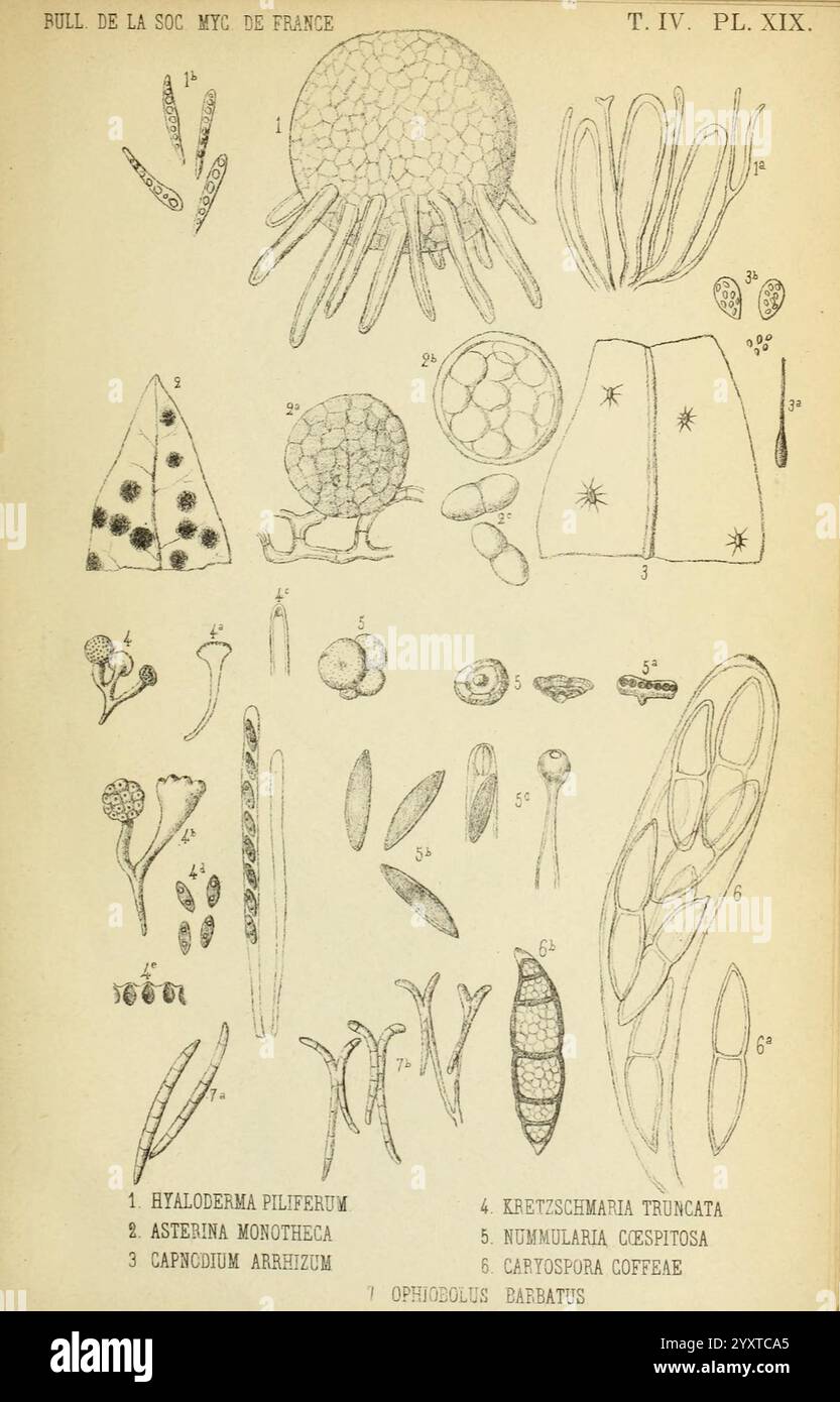 Numbered drawings depict hi-res stock photography and images - Alamy
