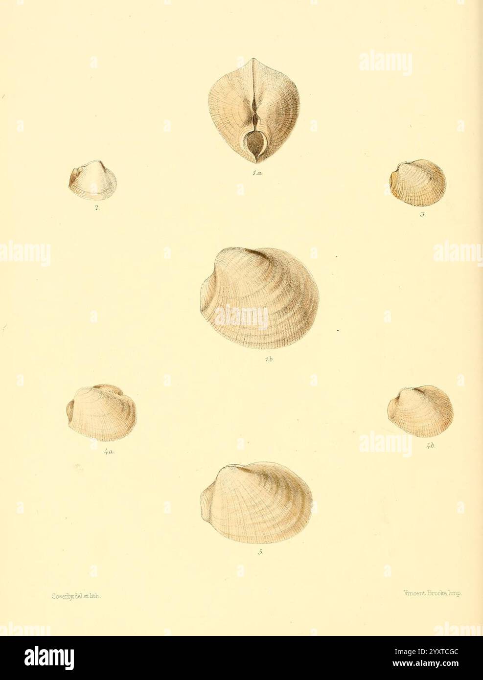 Accompanying title referencing hi-res stock photography and images - Alamy