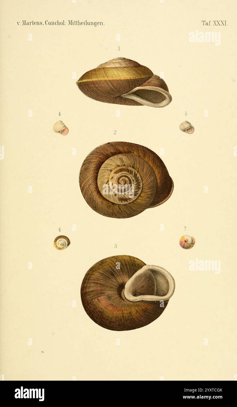 Softer textures hi-res stock photography and images - Alamy