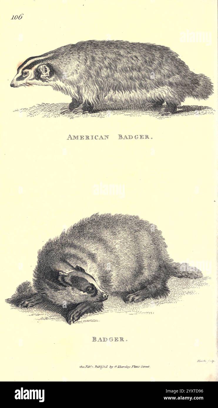 Labeled simply hi-res stock photography and images - Alamy