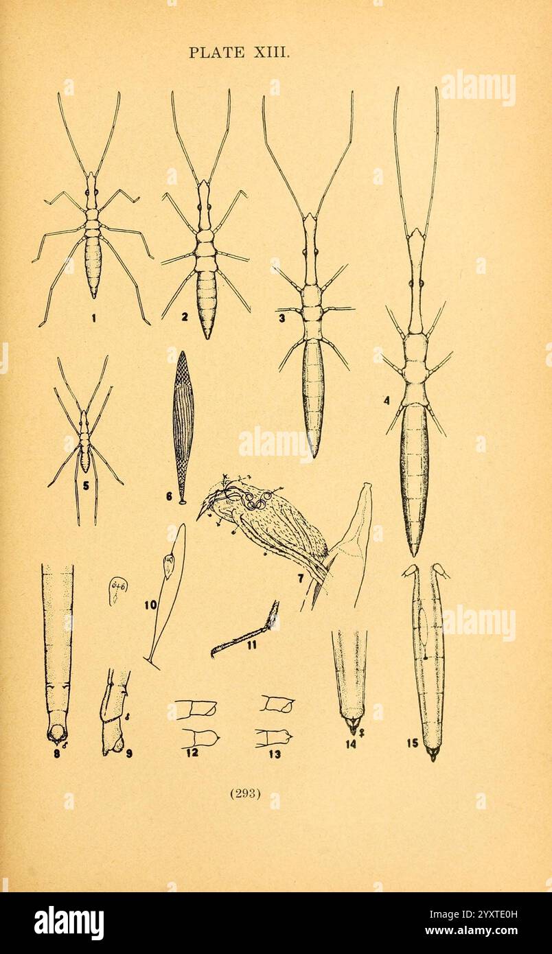 15 identify specific parts hi-res stock photography and images - Alamy