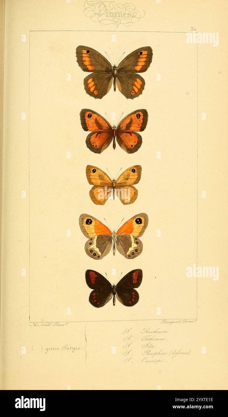 Histoire naturelle des lépidoptères d'Europe Paris L. de Bure 1845 ...