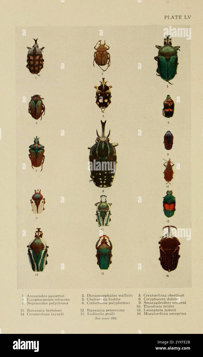 Insect life London, A. & C. Black, ltd, 1921. Arthropoda Entomology ...