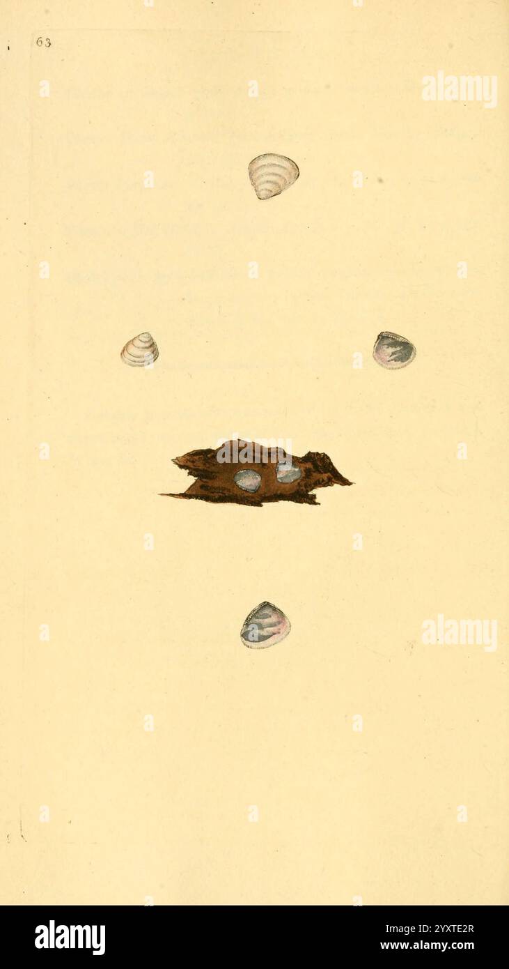 Two distinct openings hi-res stock photography and images - Alamy