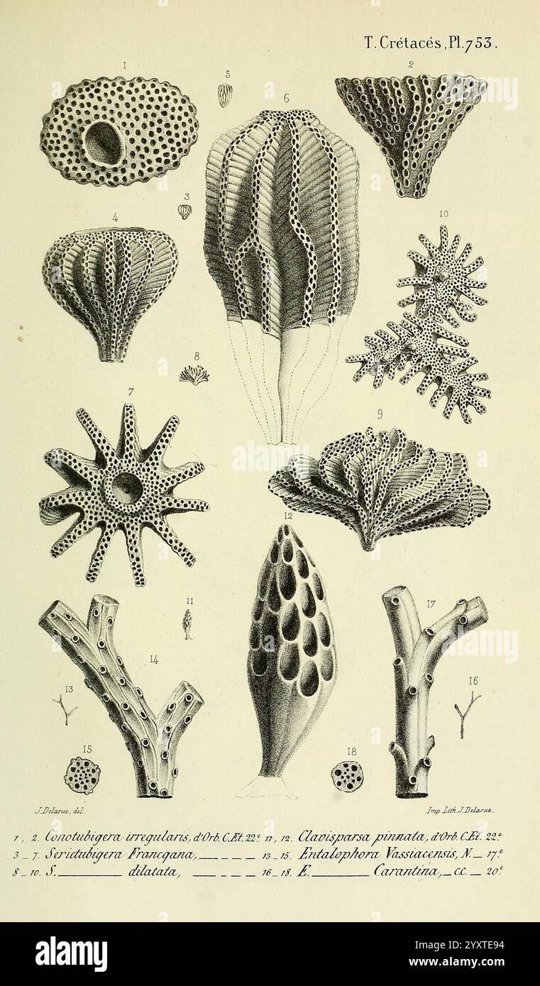 Top row presents various structural forms hi-res stock photography and ...