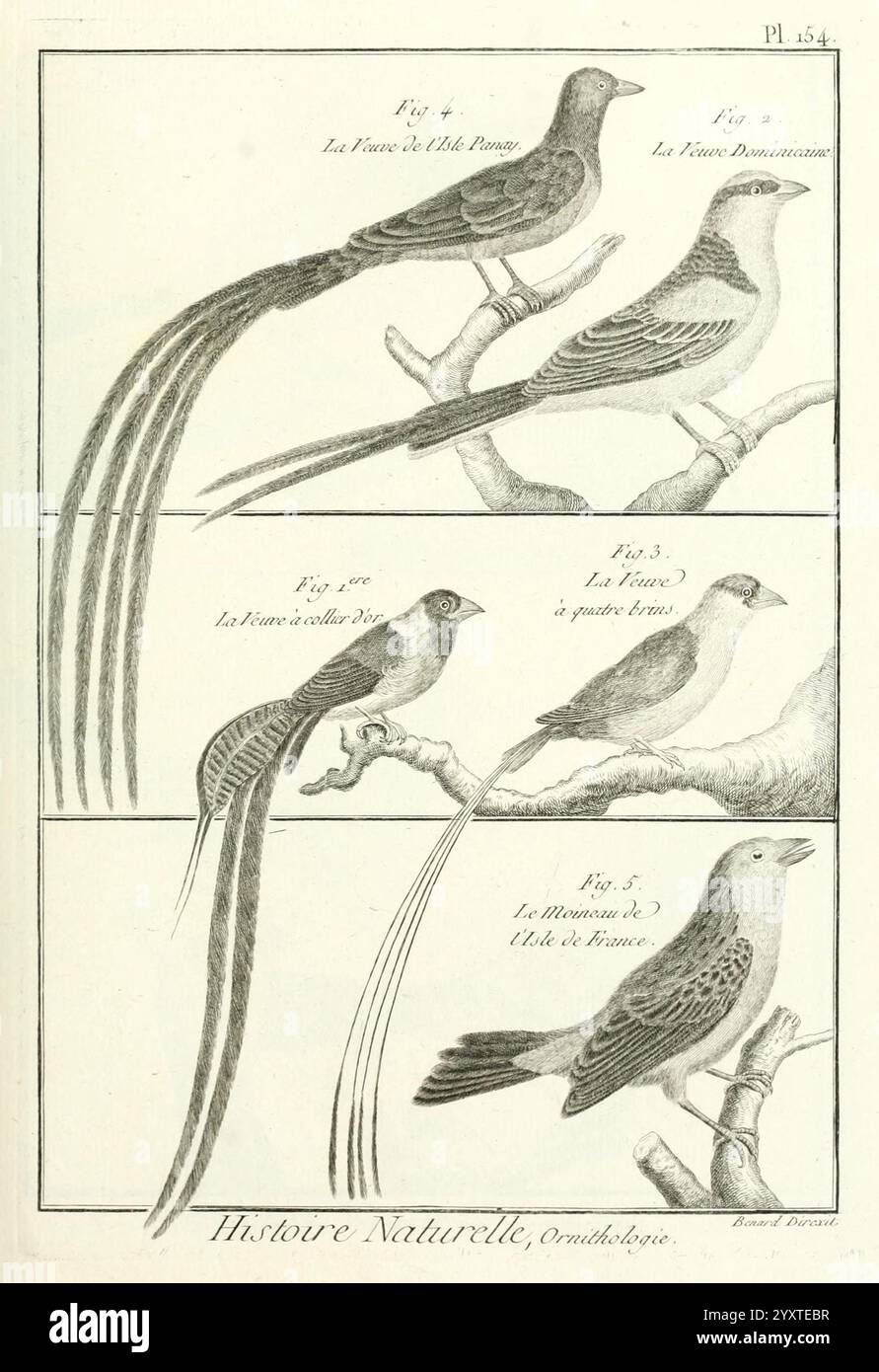 Bottom section introduces hi-res stock photography and images - Alamy