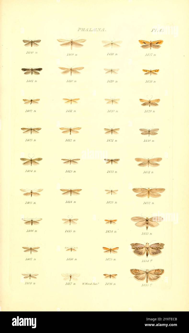 Systematic grid format hi-res stock photography and images - Alamy