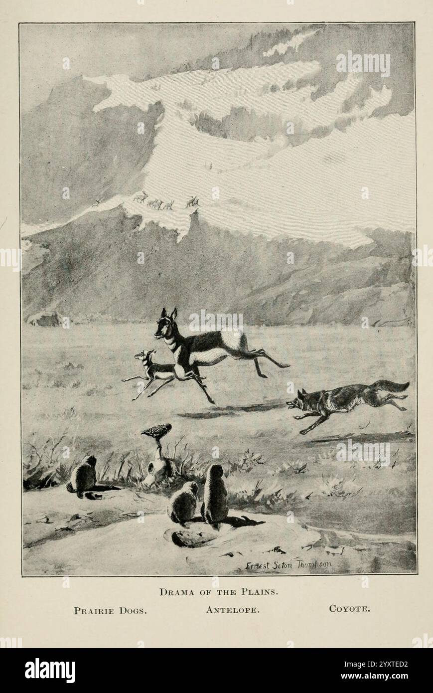 Four-footed Americans and their kin, New York, Macmillan, 1898, t.p ...