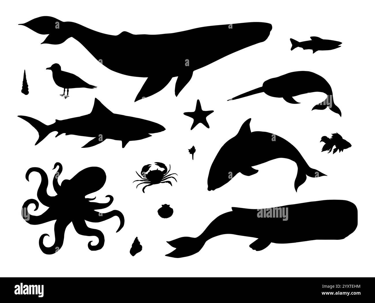 Vector set bundle of black hand drawn doodle sketch sea animals and ...