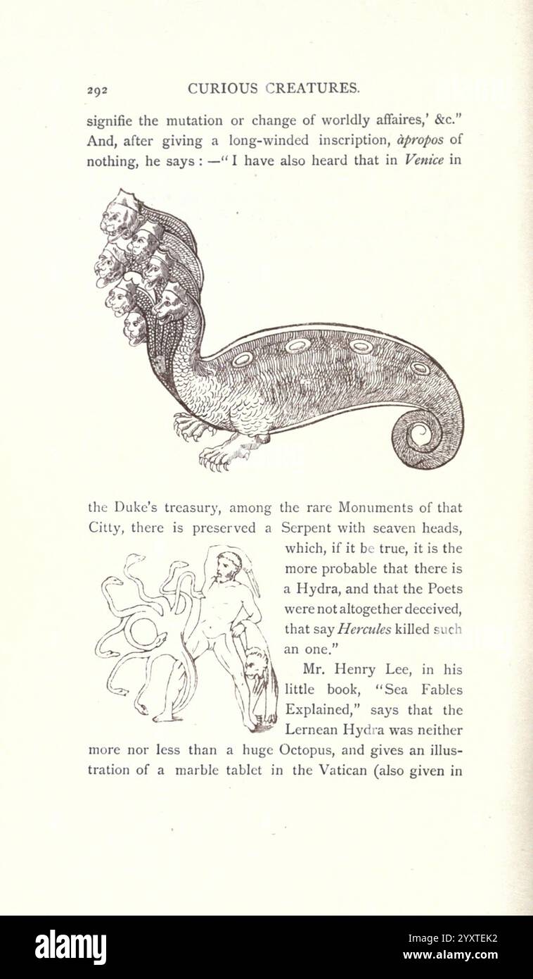 Creatures comparison hi-res stock photography and images - Alamy