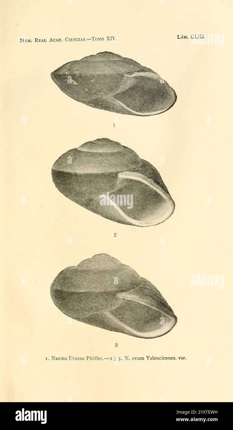 Respective angles hi-res stock photography and images - Alamy