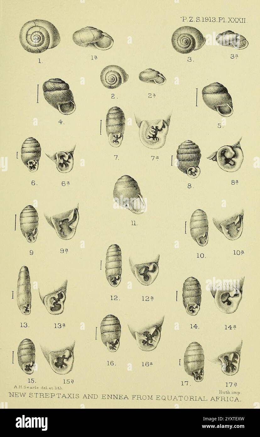 Proceedings of the Zoological Society of London, London, Academic Press ...