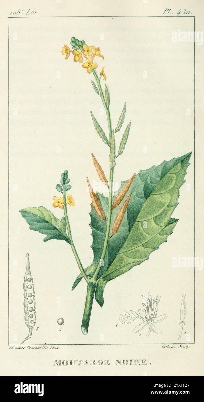 Recognized scientifically hi-res stock photography and images - Alamy