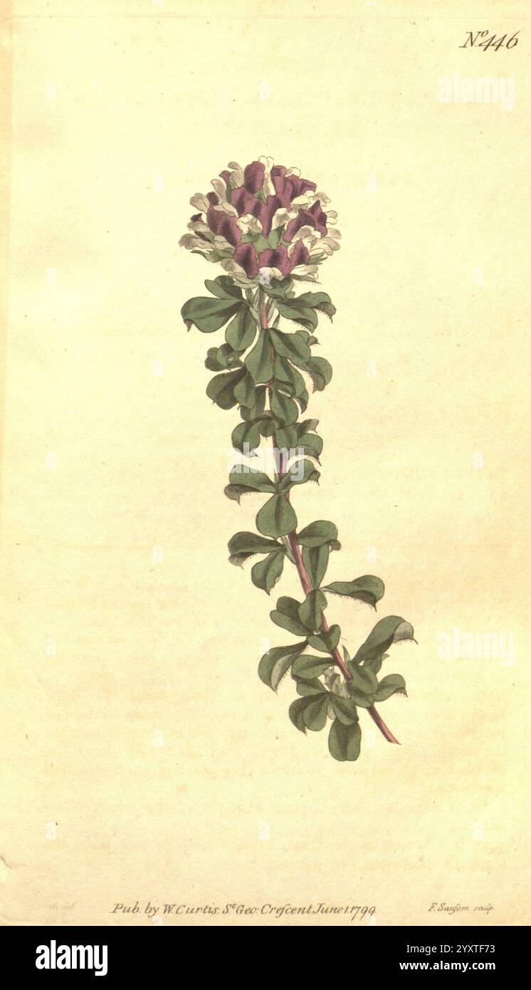 Detailed annotation hi-res stock photography and images - Alamy