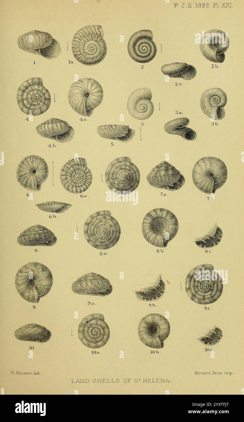 Proceedings of the Zoological Society of London, London, Academic Press ...