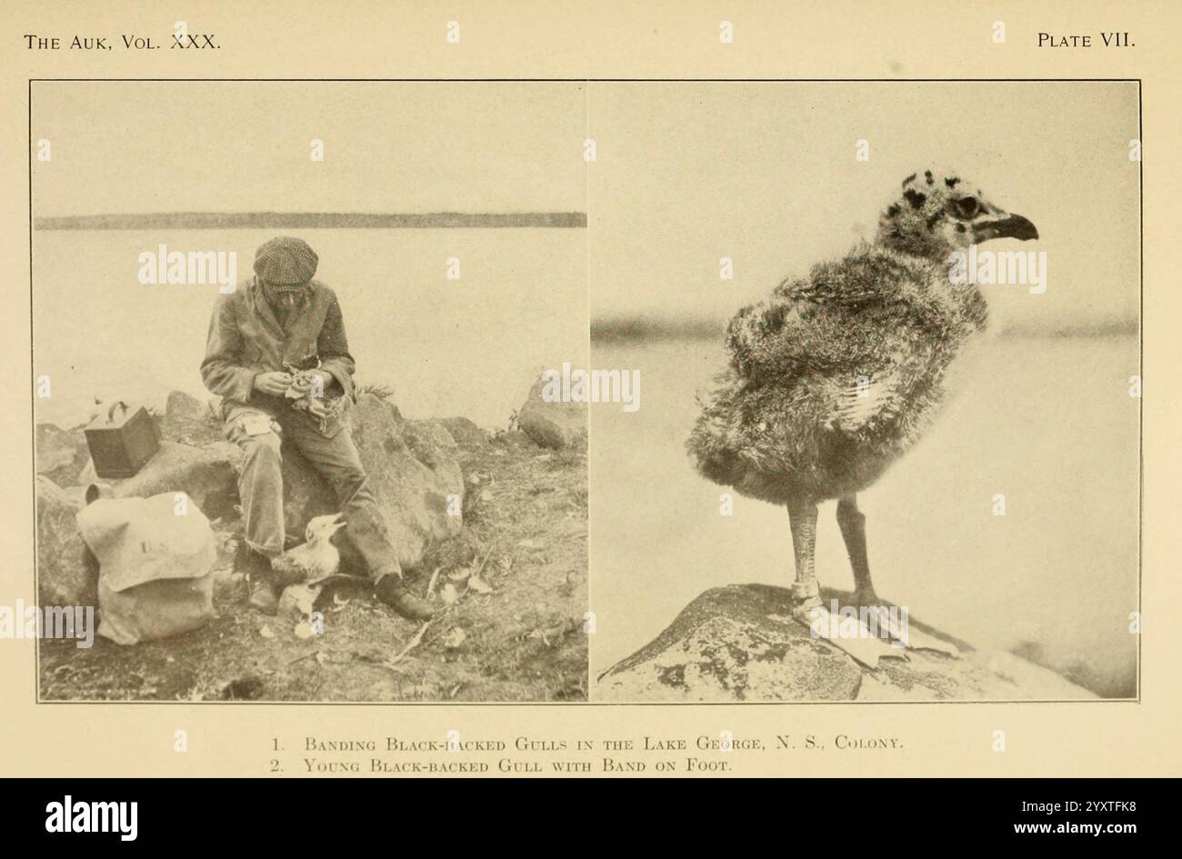 Juxtaposition highlights hi-res stock photography and images - Alamy