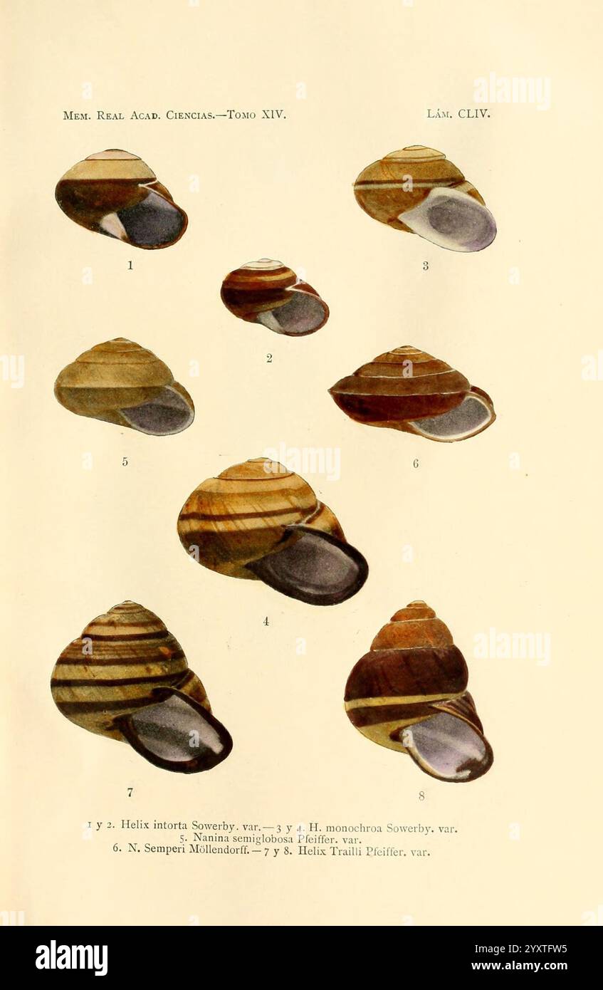 Memorias de la Real Academia de Ciencias Exactas, Fisicas y Naturales ...